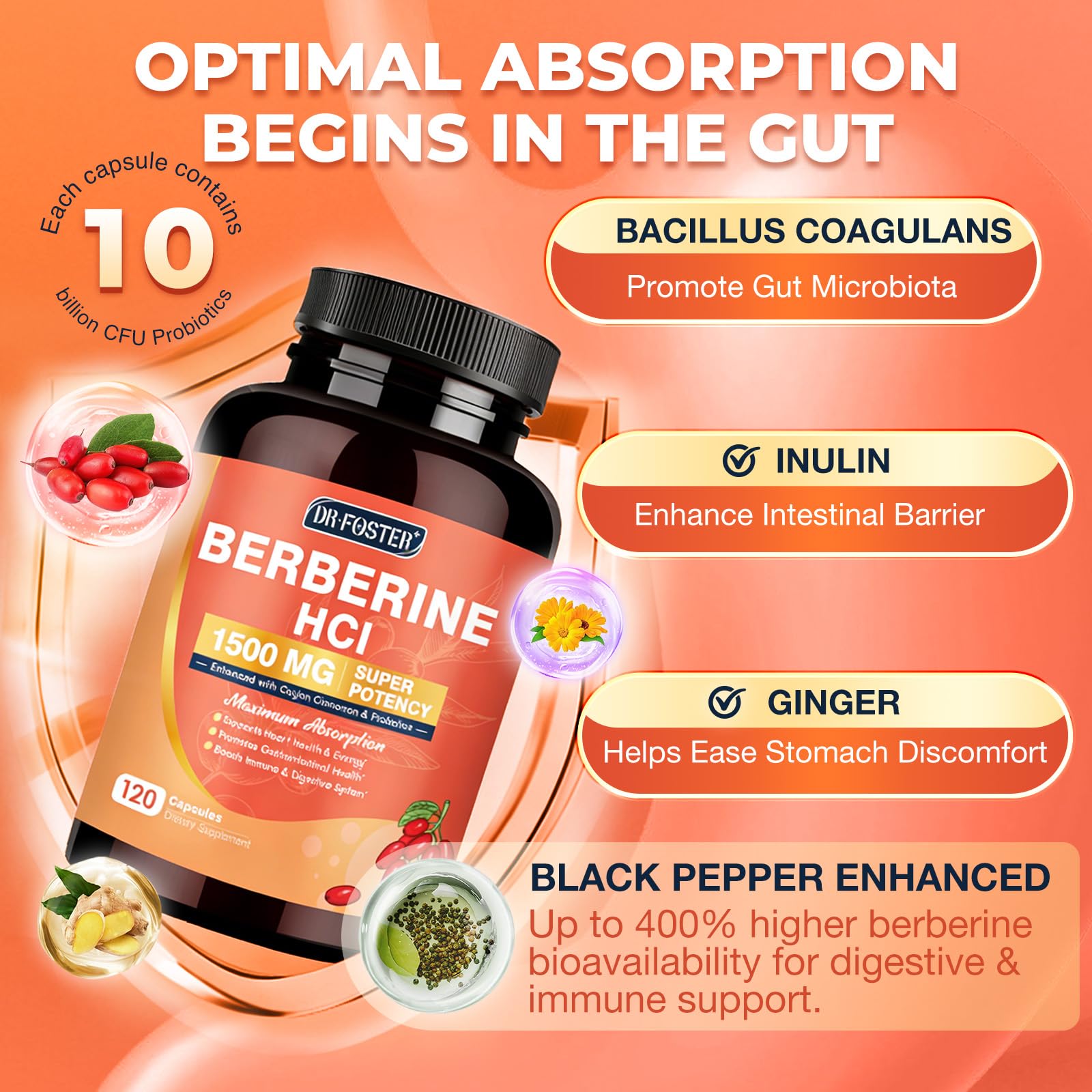 dihydroberberine supplement for vitality