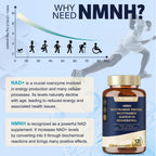 dihydronicotinamide for cellular function