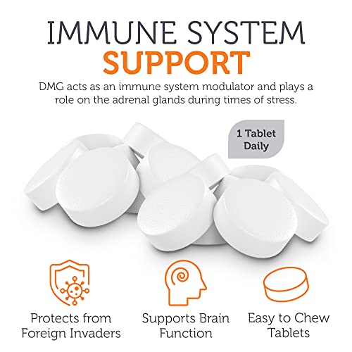 Dimethylglycine for enhanced athletic performance