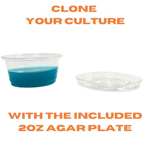Direct-mushroom cultures for enthusiasts