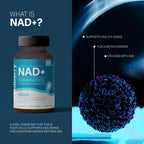 Direct NAD+ for cellular health