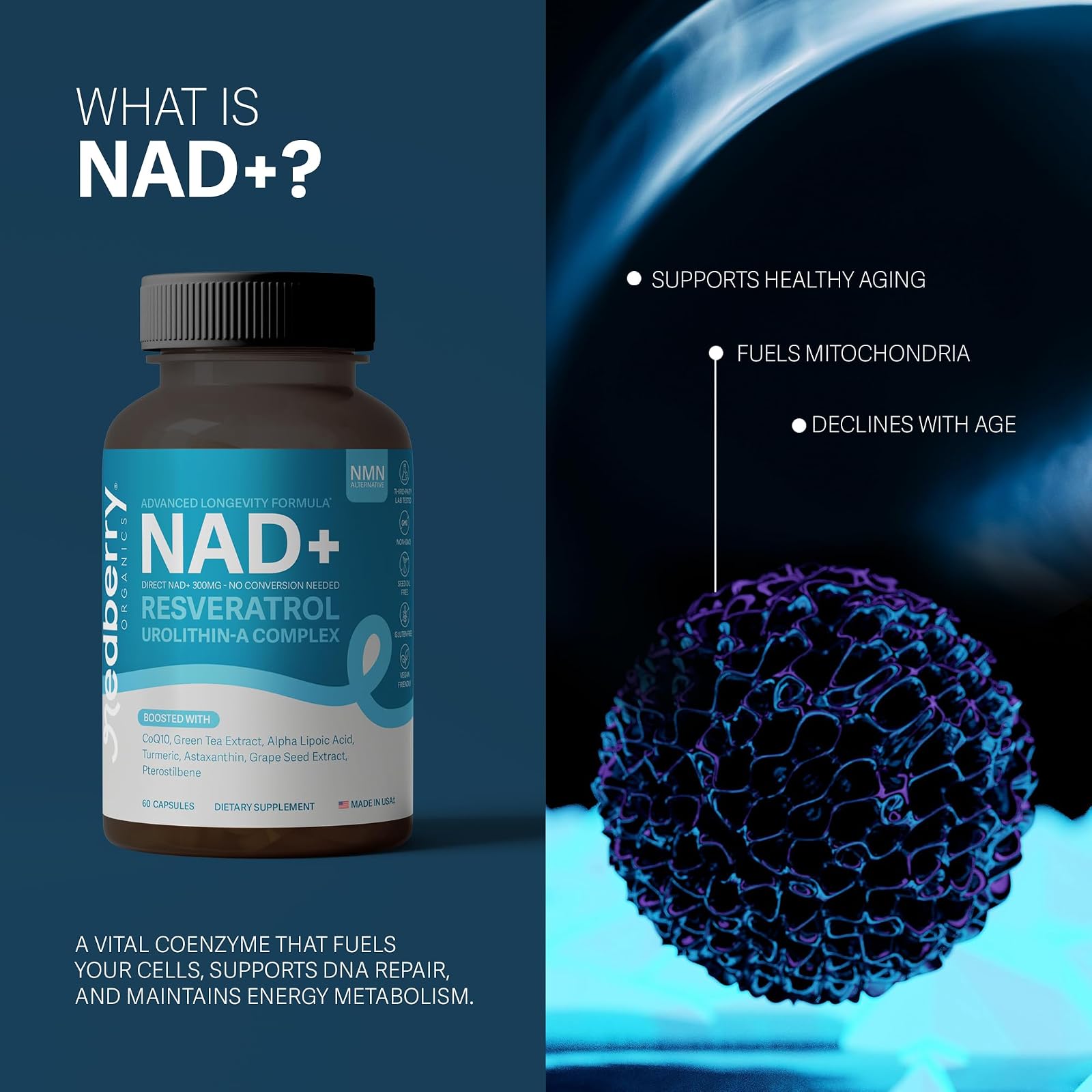 Direct NAD+ for cellular health