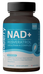 Direct NAD+ supplement for energy