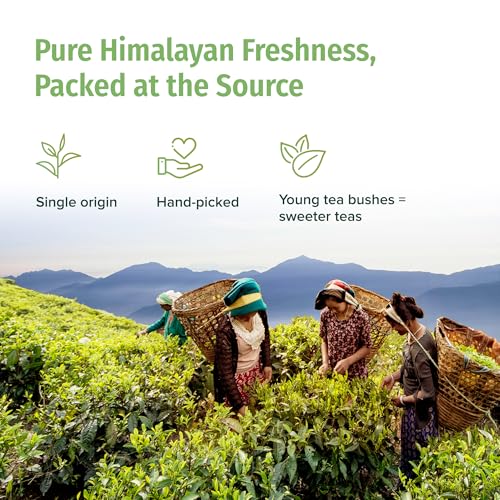 discover green tea antioxidants