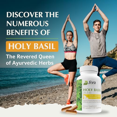 discover tulsi holy basil health benefits
