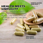 DLNIA herbal capsules for immunity