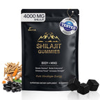 DLNIA shilajit gummies for energy