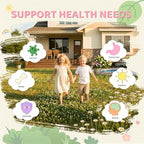 DNOUHN multivitamins for gut health