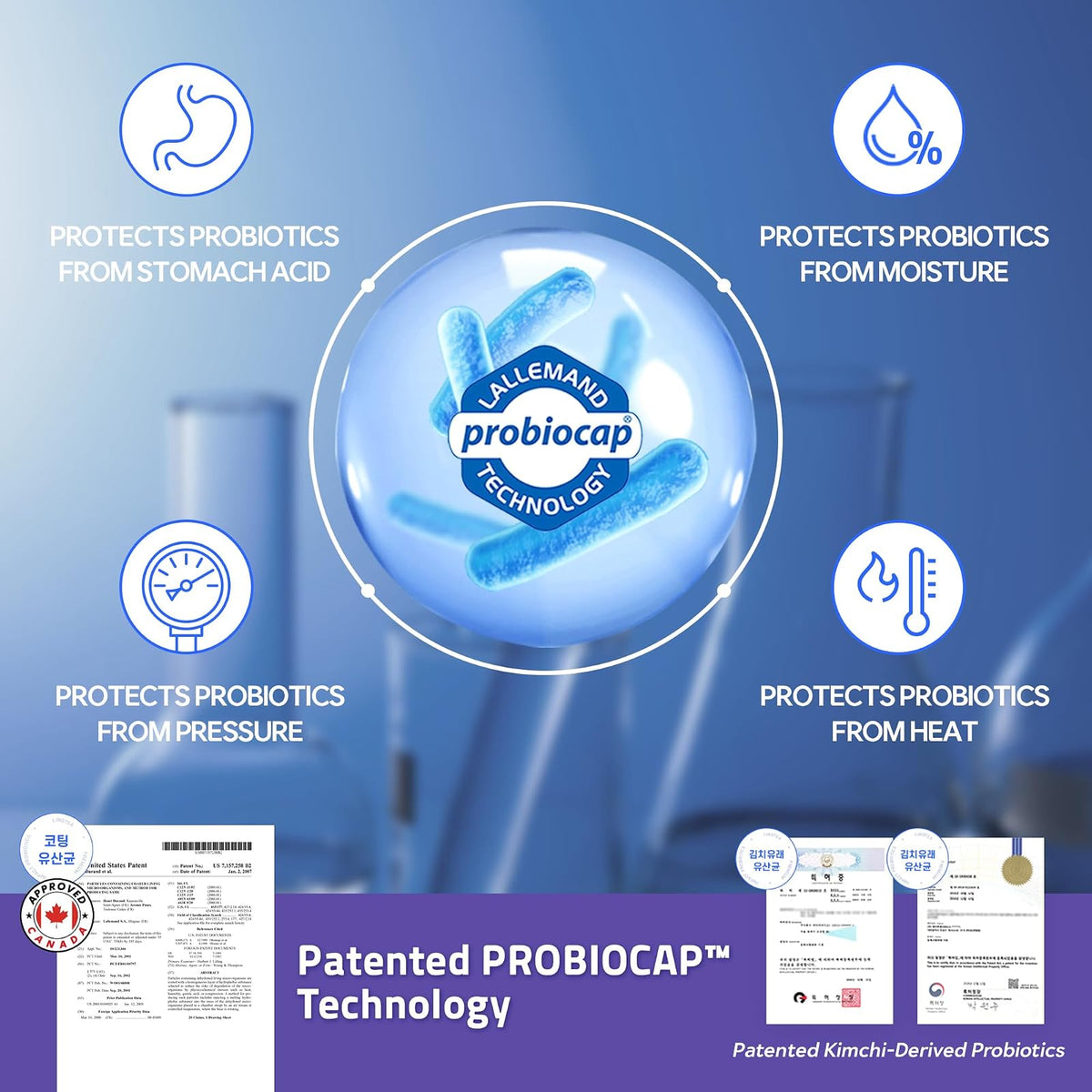 Doctor Developed digestive support capsules
