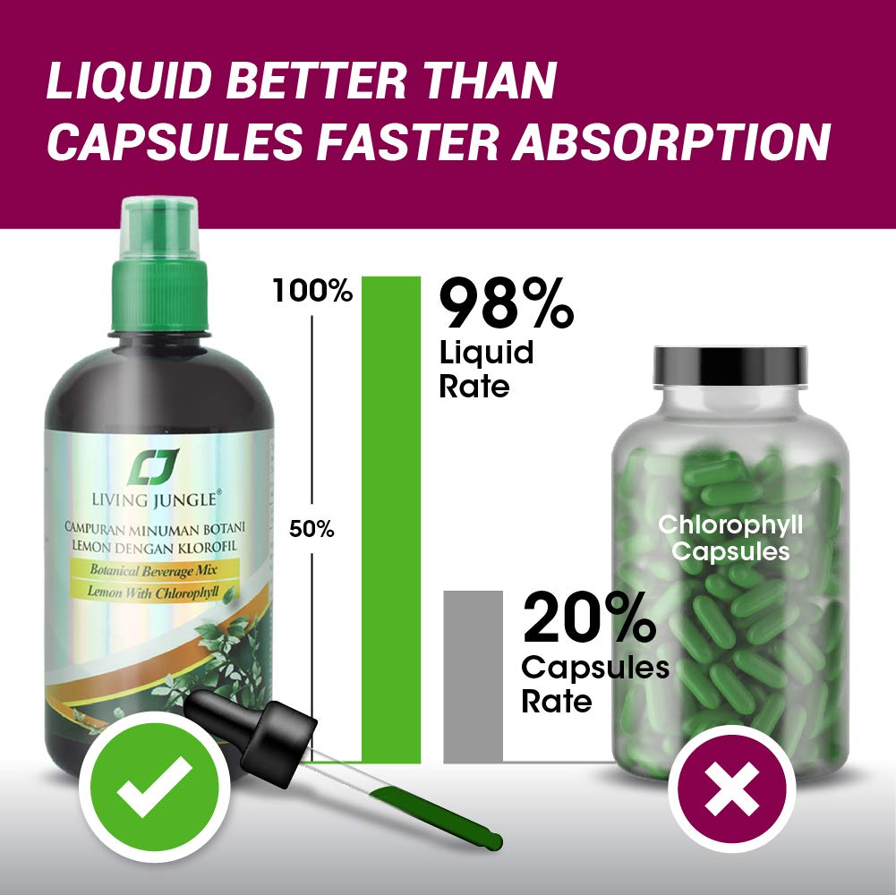 does chlorophyll have iron for health?