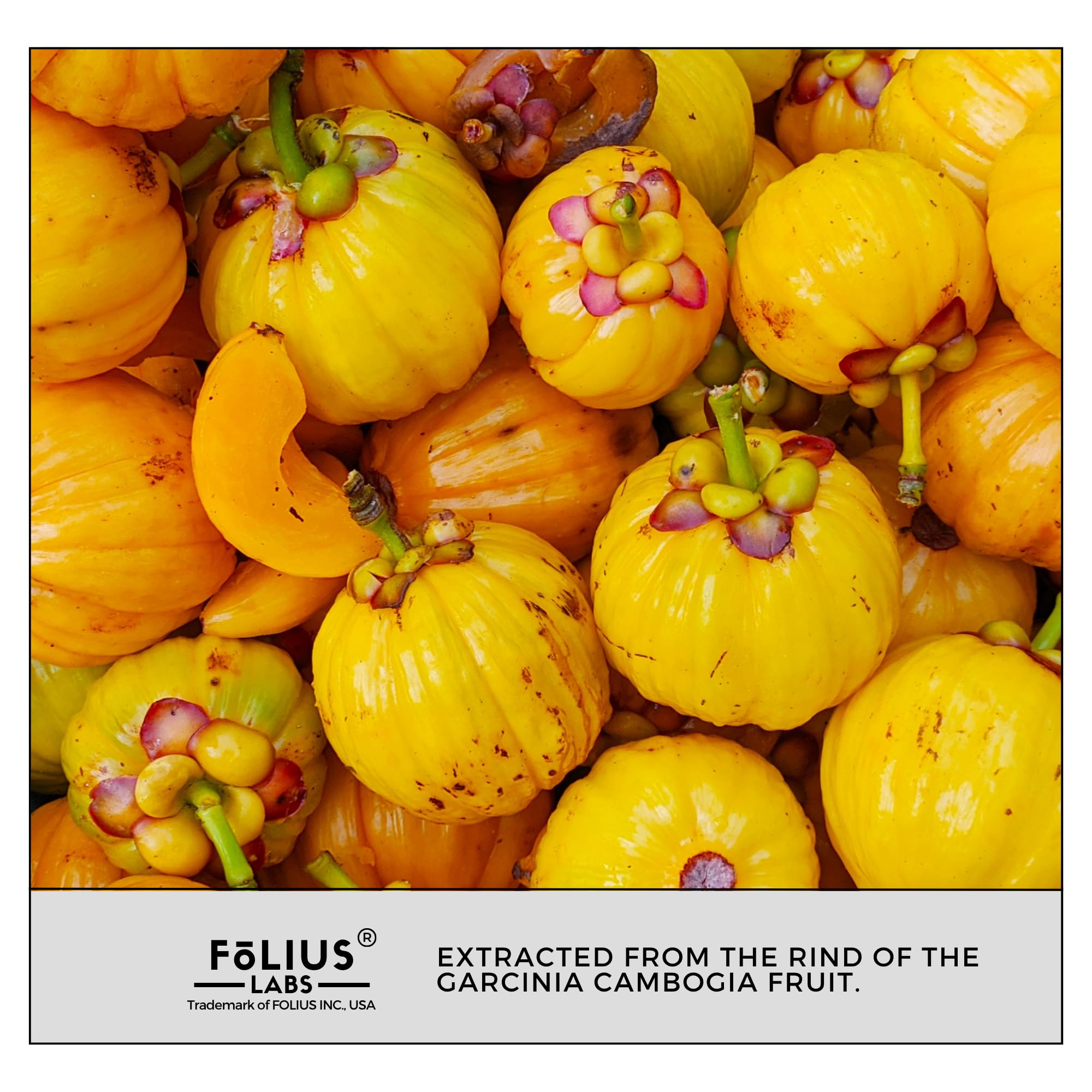 does garcinia cambogia work effectively