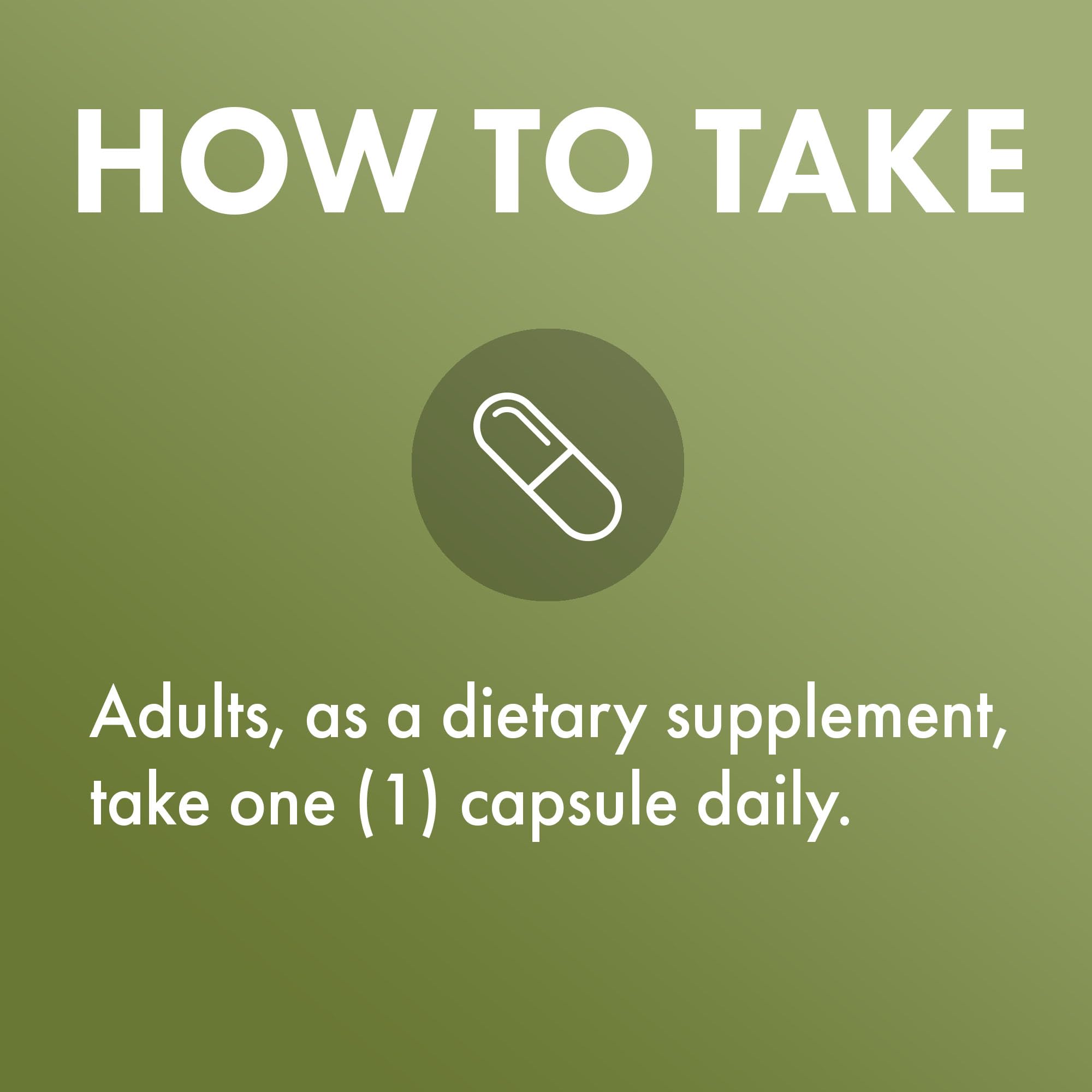 does ginkgo biloba work for concentration