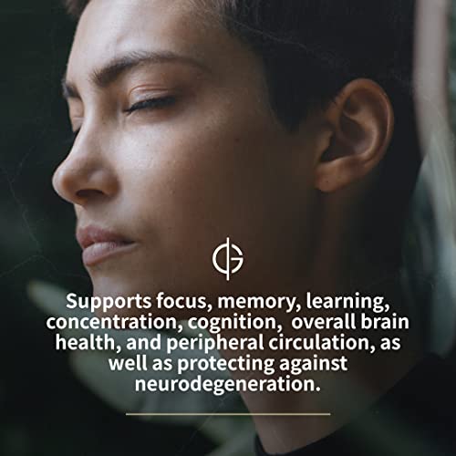 does ginkgo biloba work for focus