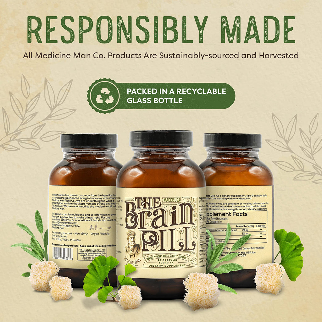 does ginkgo biloba work for memory?