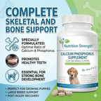 dog calcium phosphorus health support