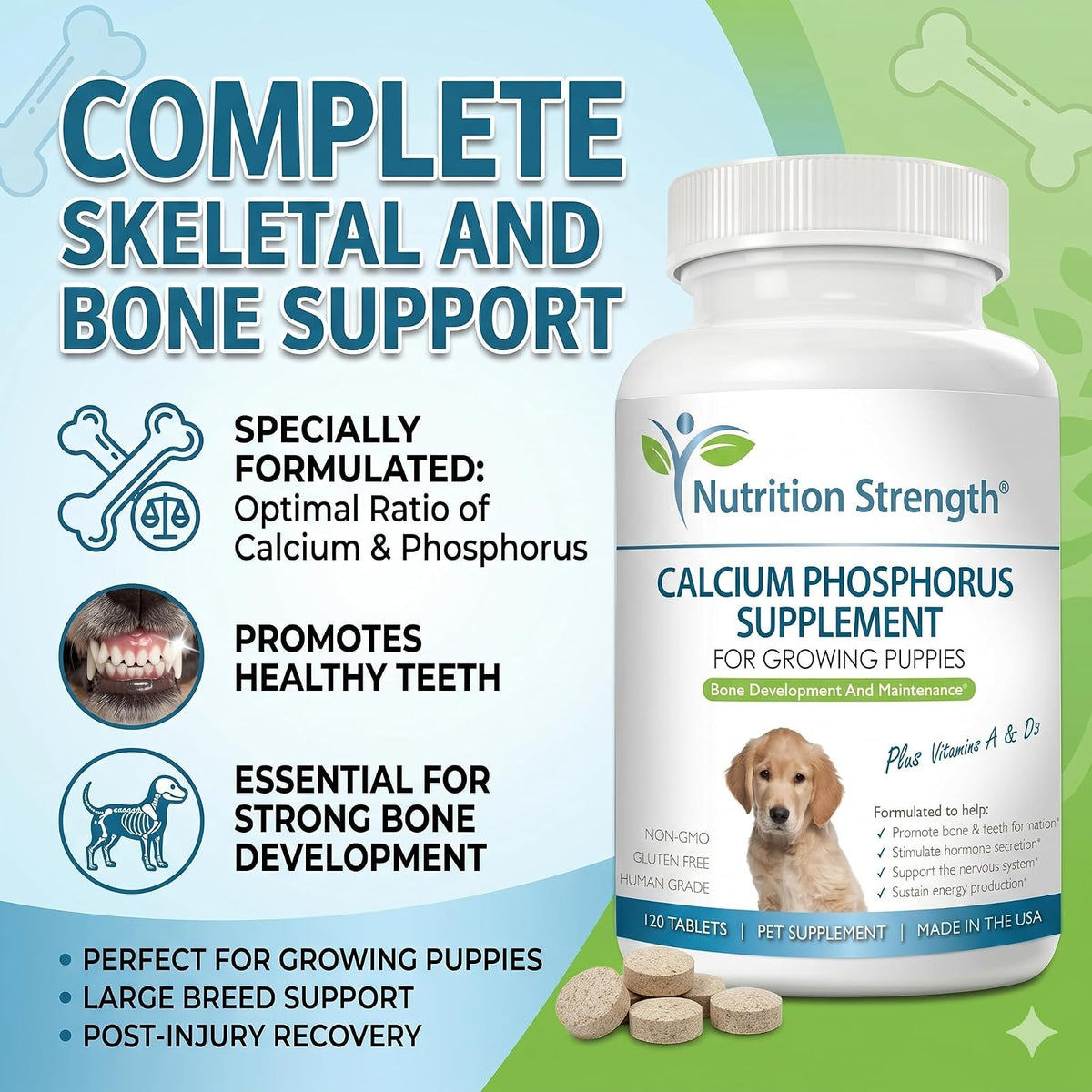 dog calcium phosphorus health support