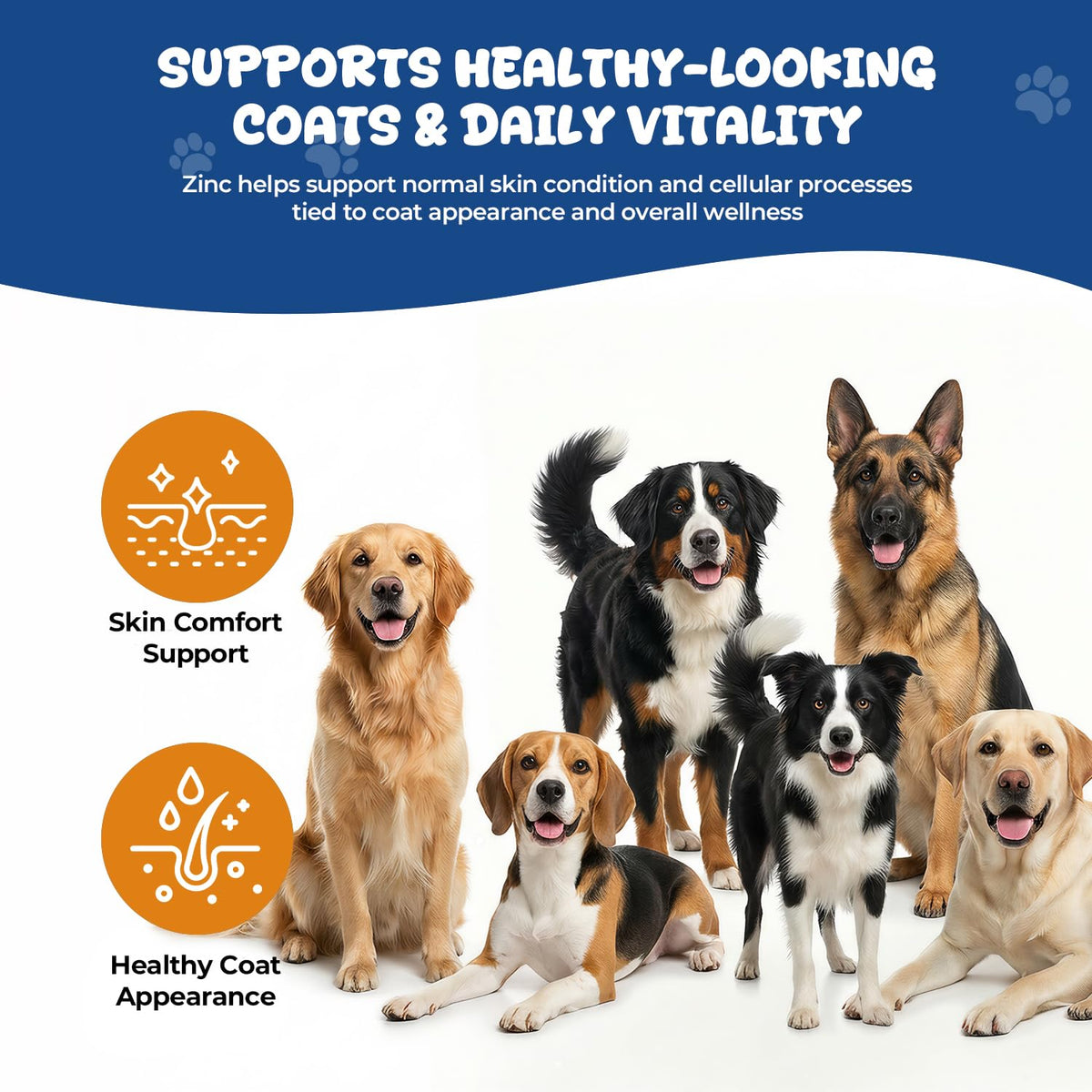 Dog coat care with zinc
