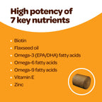 dog coat health with omega 3