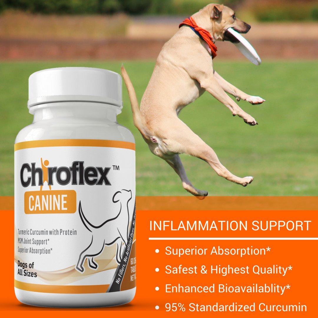 dog-friendly turmeric curcumin formula