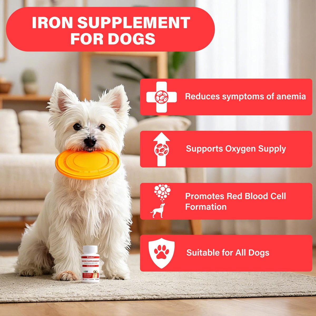 dog iron tablets for healthy fur