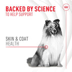dog supplement for shiny coat