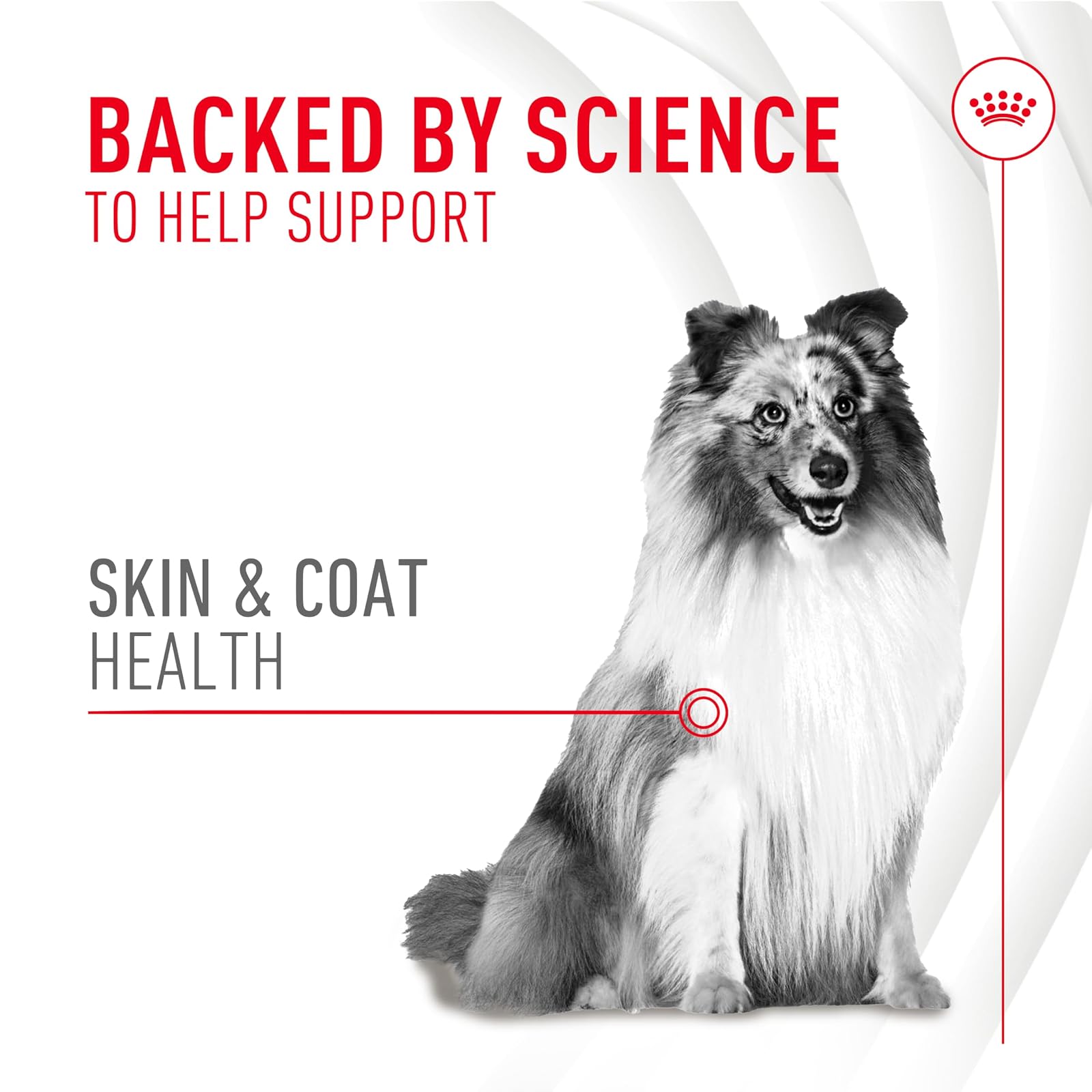 dog supplement for shiny coat