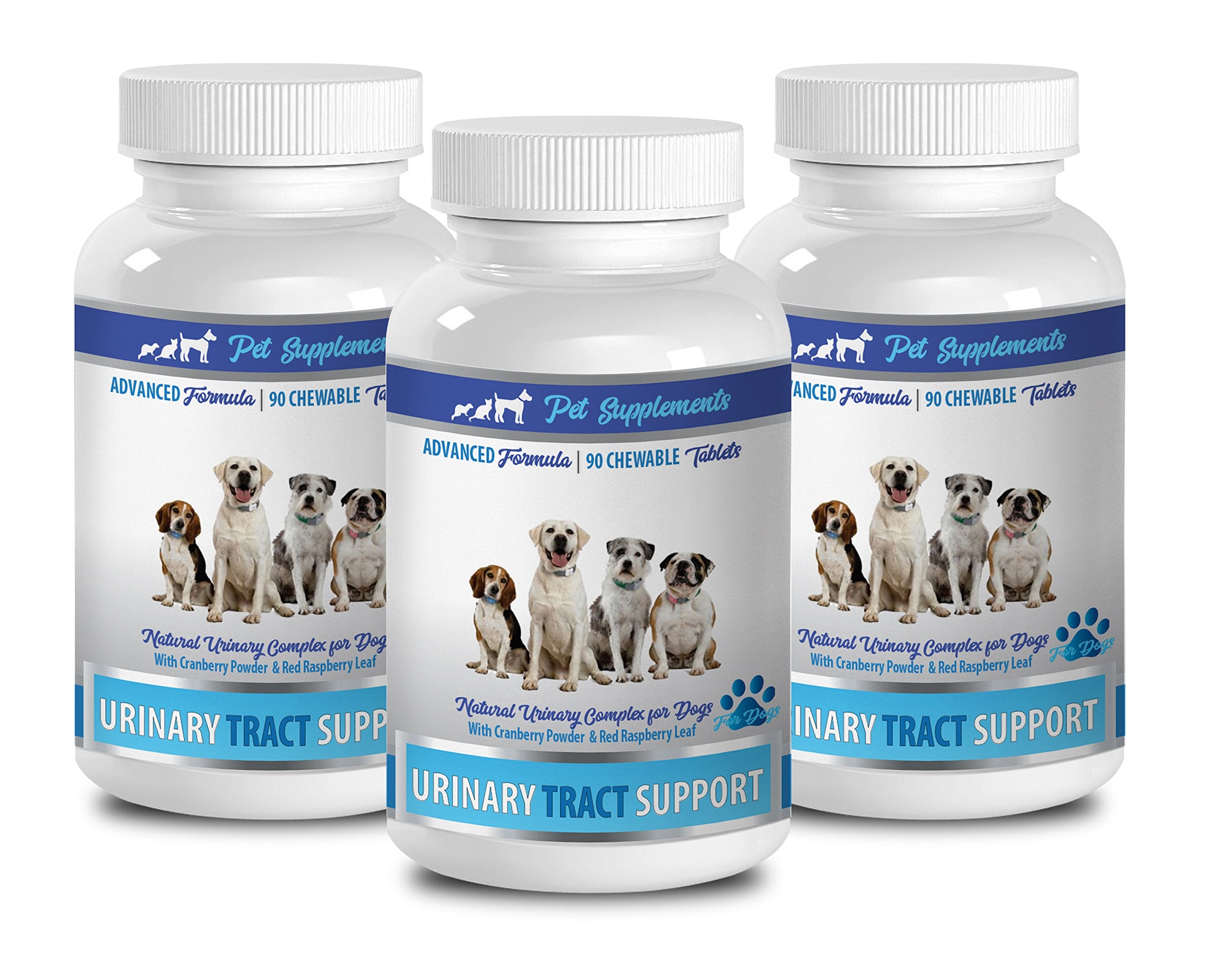 dog urinary tract cranberry supplement