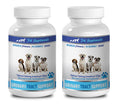 dog urinary tract support chews