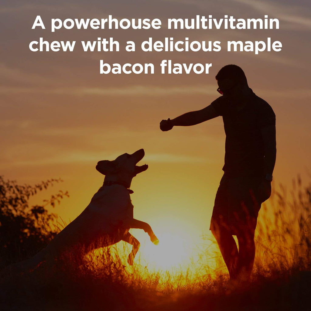 dog vitamins for improved eyesight