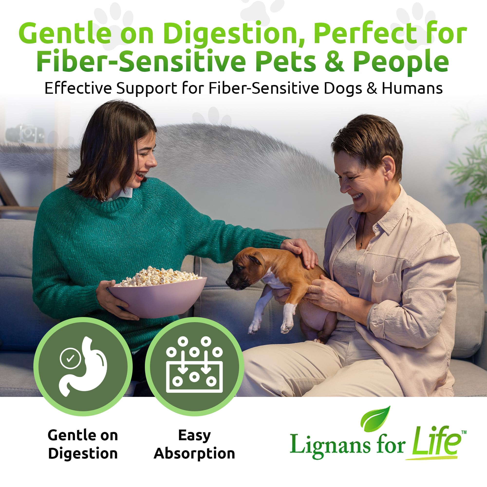 dog vitamins for overall wellness