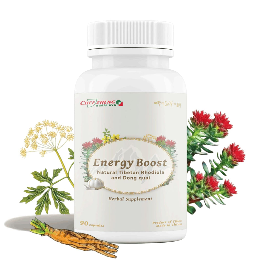dong quai capsules for energy boost
