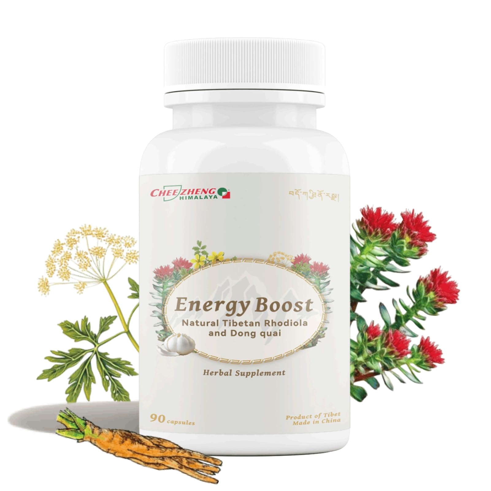 dong quai capsules for energy boost