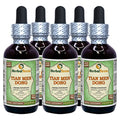 dong quai herbal glycerite extract
