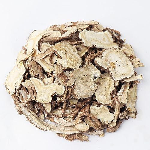 dong quai root for wellness