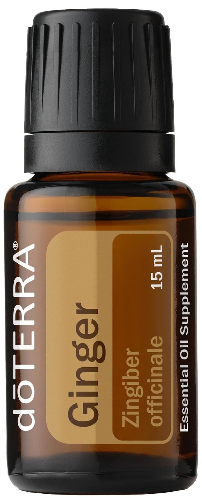doTERRA ginger essential oil for wellness