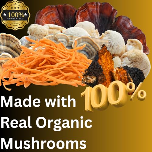 Double extracted mushroom blend advantages