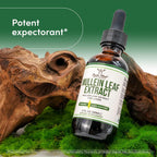Double Wood organic mullein tincture benefits