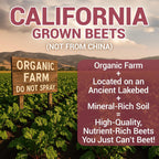 Dr. Berg beet root powder benefits