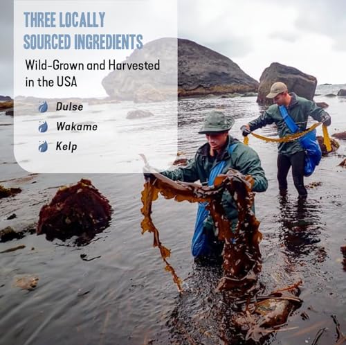 Dr. Cowan's Garden seaweed for energy