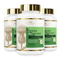 DR. Crown Milk Thistle capsules for liver health