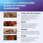 Dr. Emil turkey tail antioxidant properties