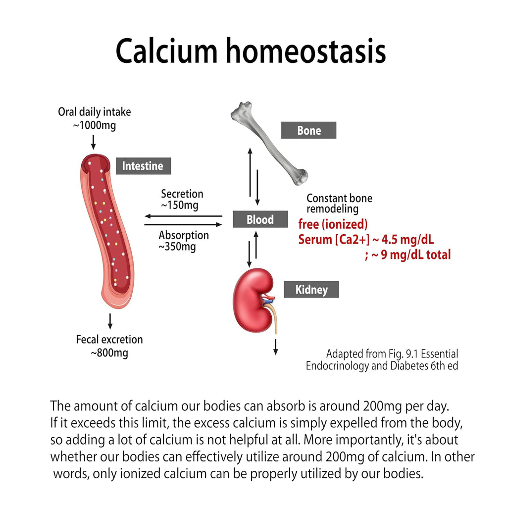 Dr. G's 2:1 calcium magnesium ratio