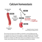 Dr. G's 2:1 calcium magnesium ratio