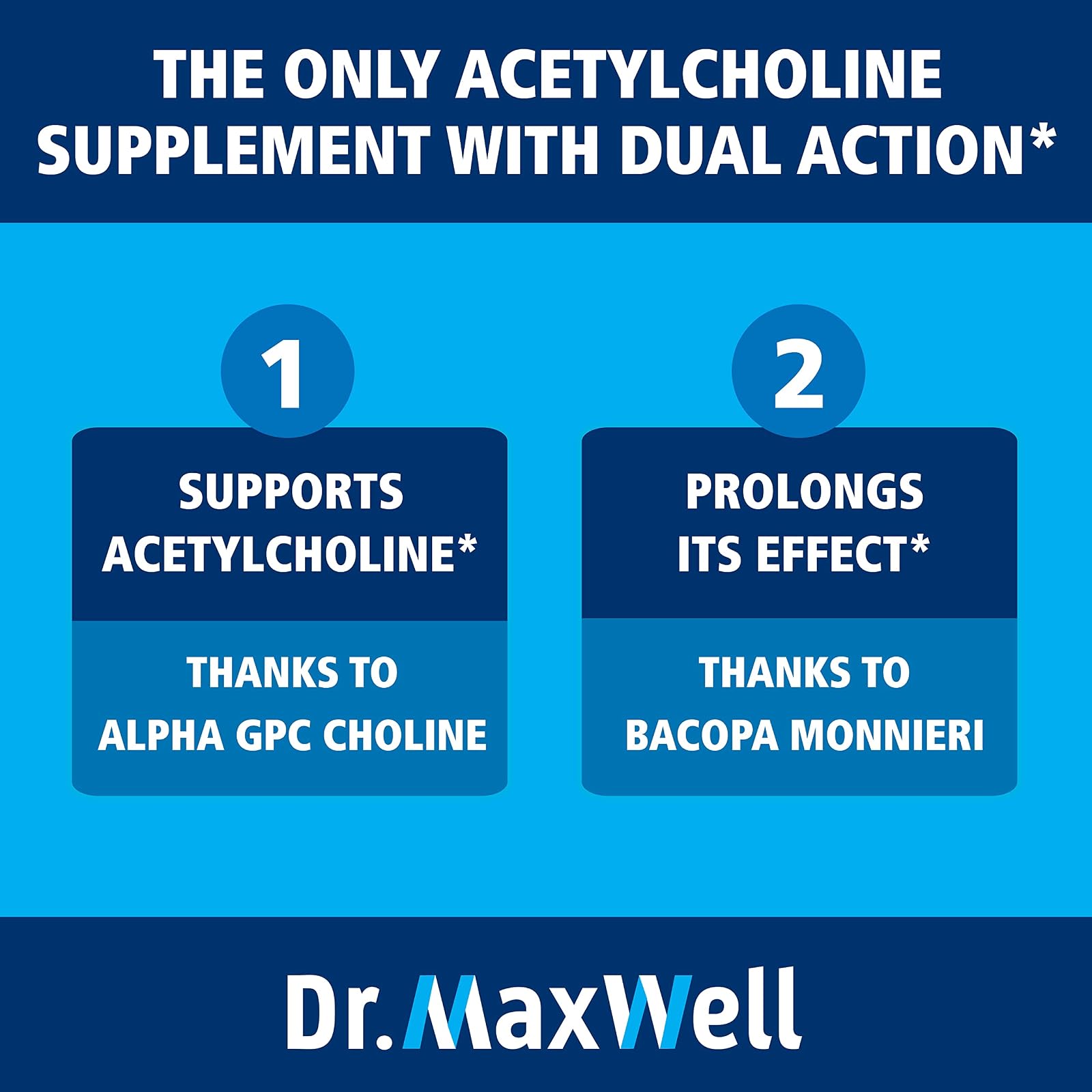 Dr. Maxwell 600 mg acetylcholine benefits