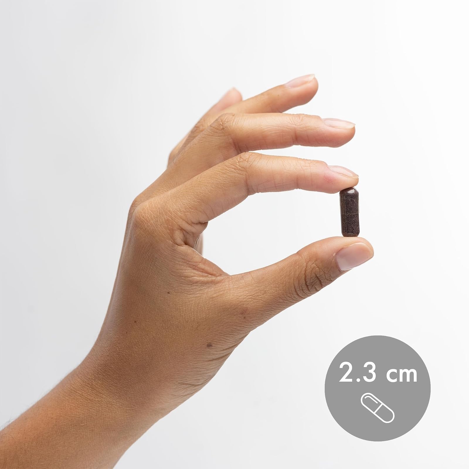 Dr. Mercola elderberry for antioxidants
