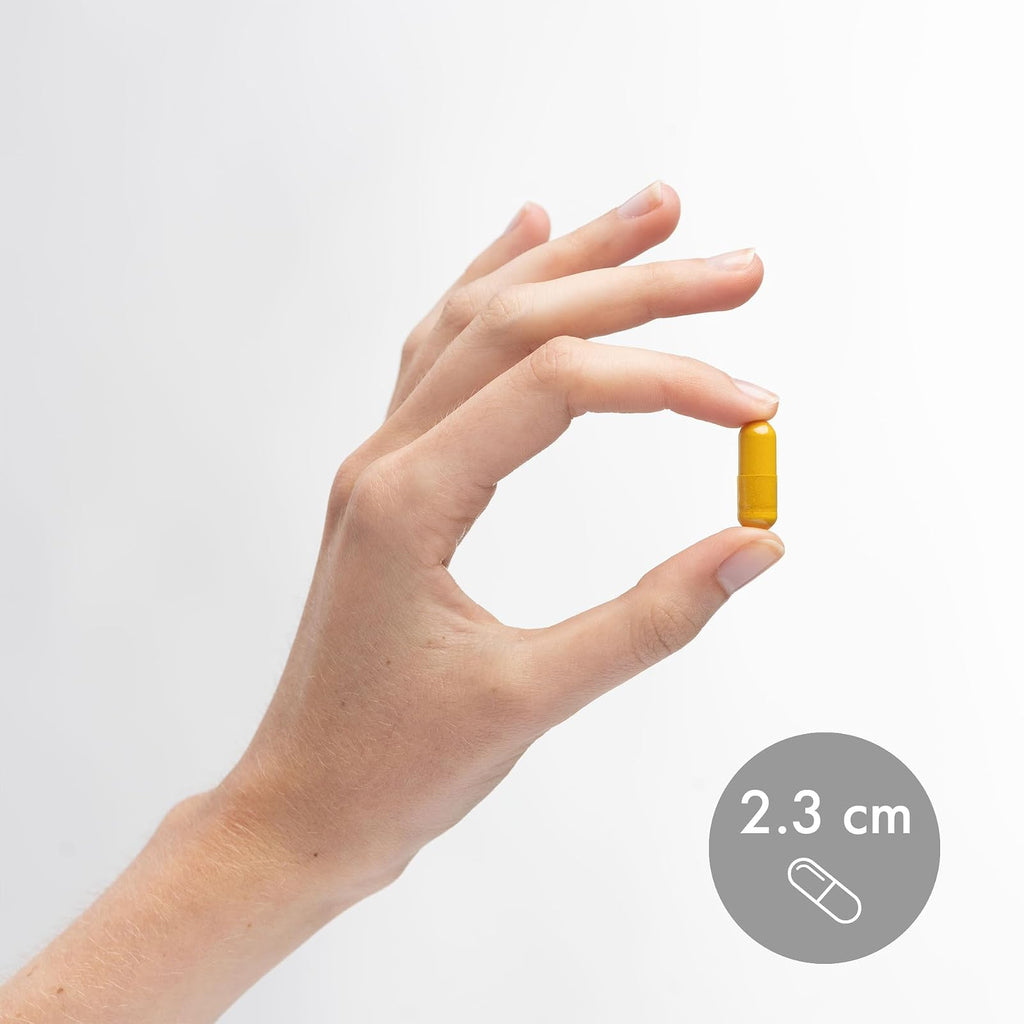 Dr. Mercola turmeric for daily vitality