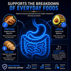 Dr. Nandi enzymes for bloating relief
