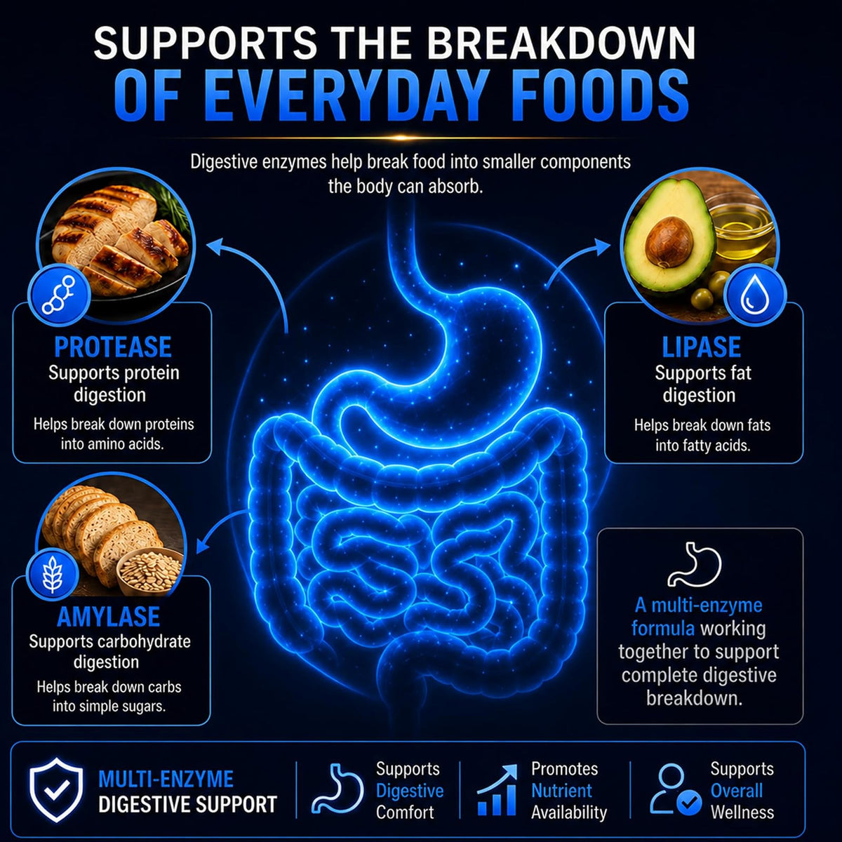 Dr. Nandi enzymes for bloating relief