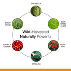 Dr. Schulze's SuperFood 100 for digestive health