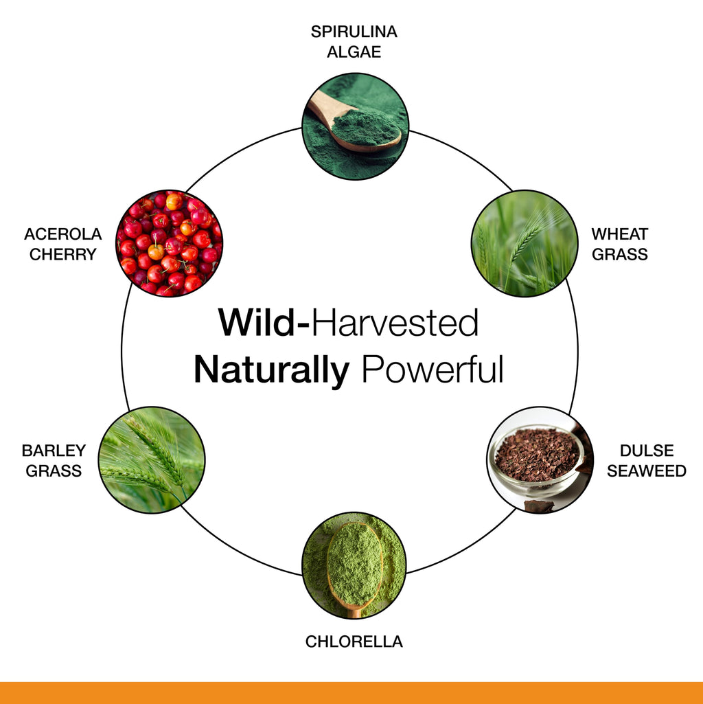 Dr. Schulze's SuperFood daily nutrition
